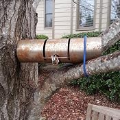 Amazon.com : Tube Trap Squirrel Trap (Rust-Resistant) : Garden & Outdoor