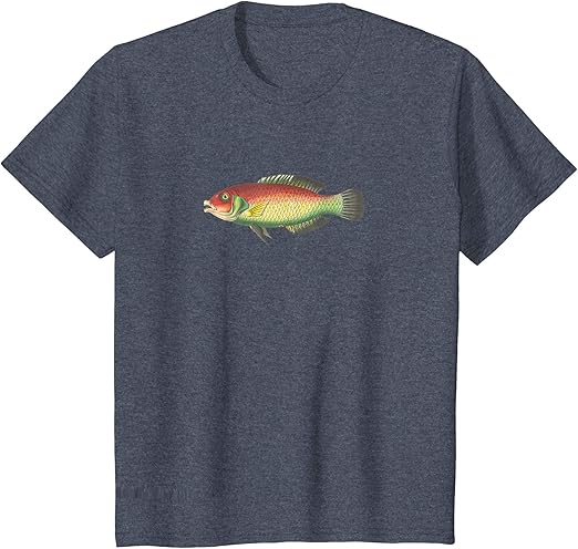 Amazon.com: Fish graphic t-shirt: Clothing