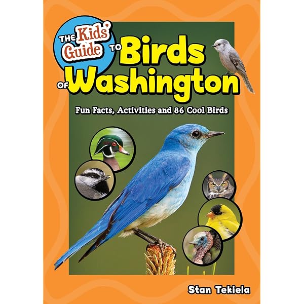 Bluebird Babies Facts