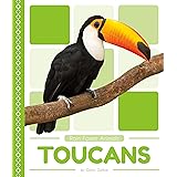Amazon.com: Toucans and Other Birds (Animals That Live in the Rain ...