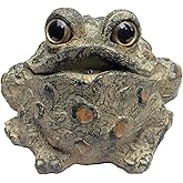 Amazon.com : Toad Hollow Cromwell The Croaking Motion Activated Frog ...