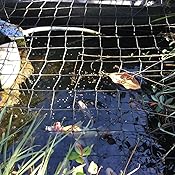 Amazon.com : Wardley Pond Fish Food Stix - 3lb : Pet Supplies