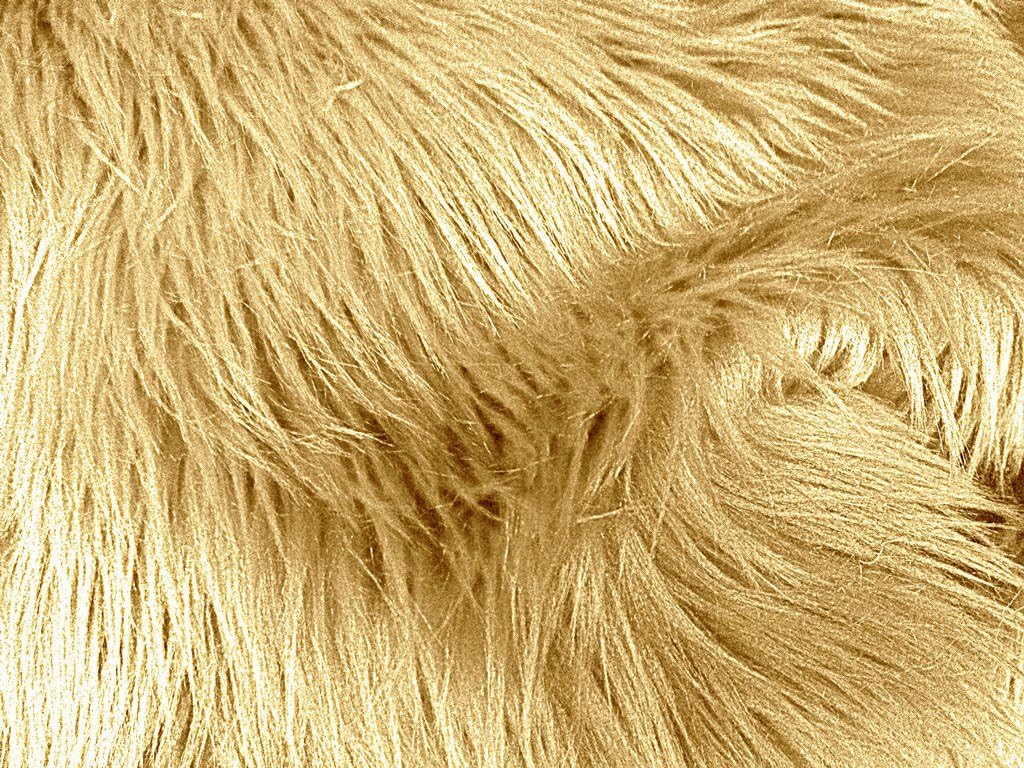Amazon.com: Faux Fur Mongolian Shag Camel 60 Inch Wide Fabric By the Yard