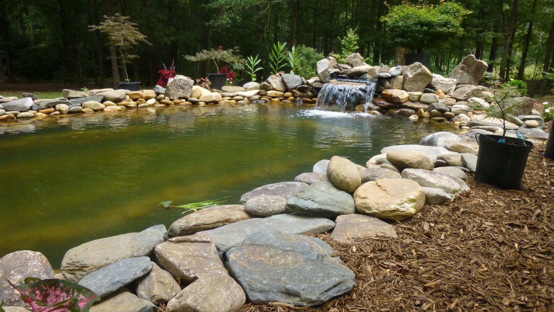 $53/mo - Finance HALF OFF PONDS Complete PRO 5200 Water Garden and Pond ...