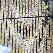 Ferplast Hamsterville, Mouse and Small Pet Wooden Cage, Black, 60 x 34 ...