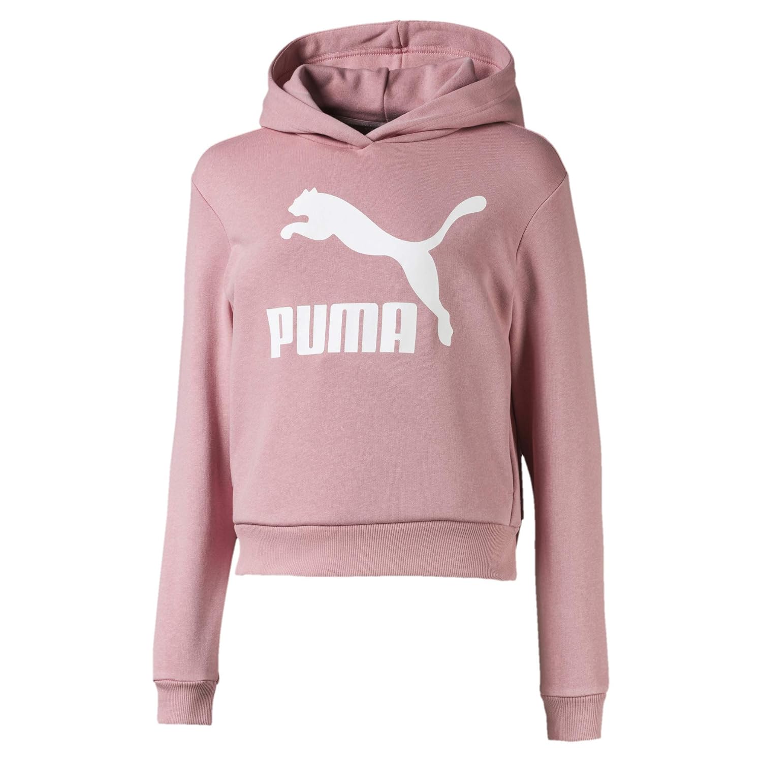 Bekleidung PUMA Mädchen Modern Sports Hoody TR G Pullover Sweatshirts ...