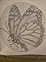 Spiroglyphics: Animals: Amazon.co.uk: Pavitte, Thomas: 9781781576489: Books