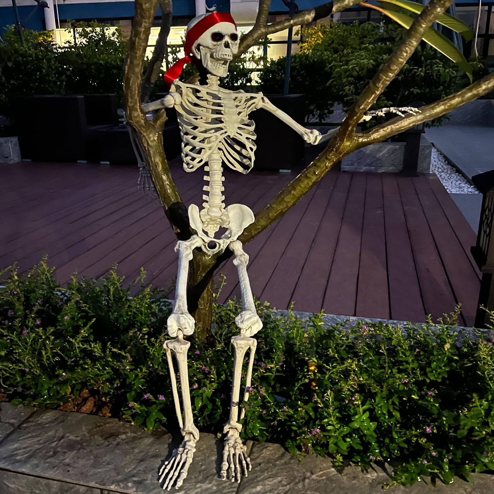 BKDMZZMY Halloween Skeleton, 5.4 FT Life Size Skeleton Human Bones with ...