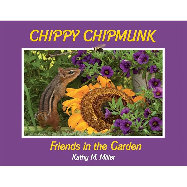 Chippy The Chipmunk Point Sebago on Sale | emergencydentistry.com