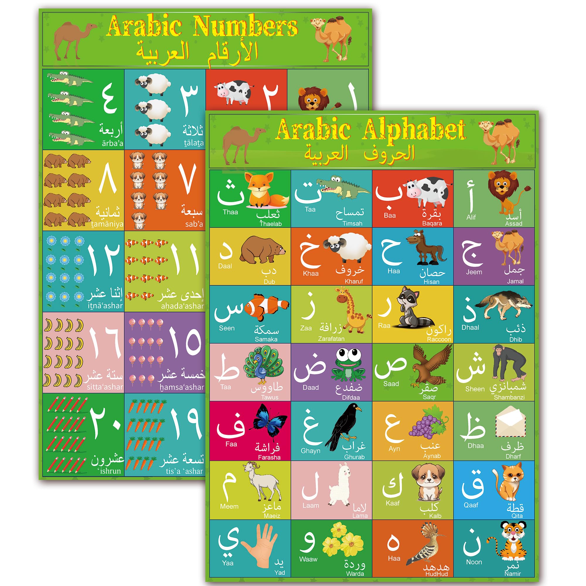 Mua Arabic Alphabet Number Poster for Kids Arabic Alphabet Flash Cards ...