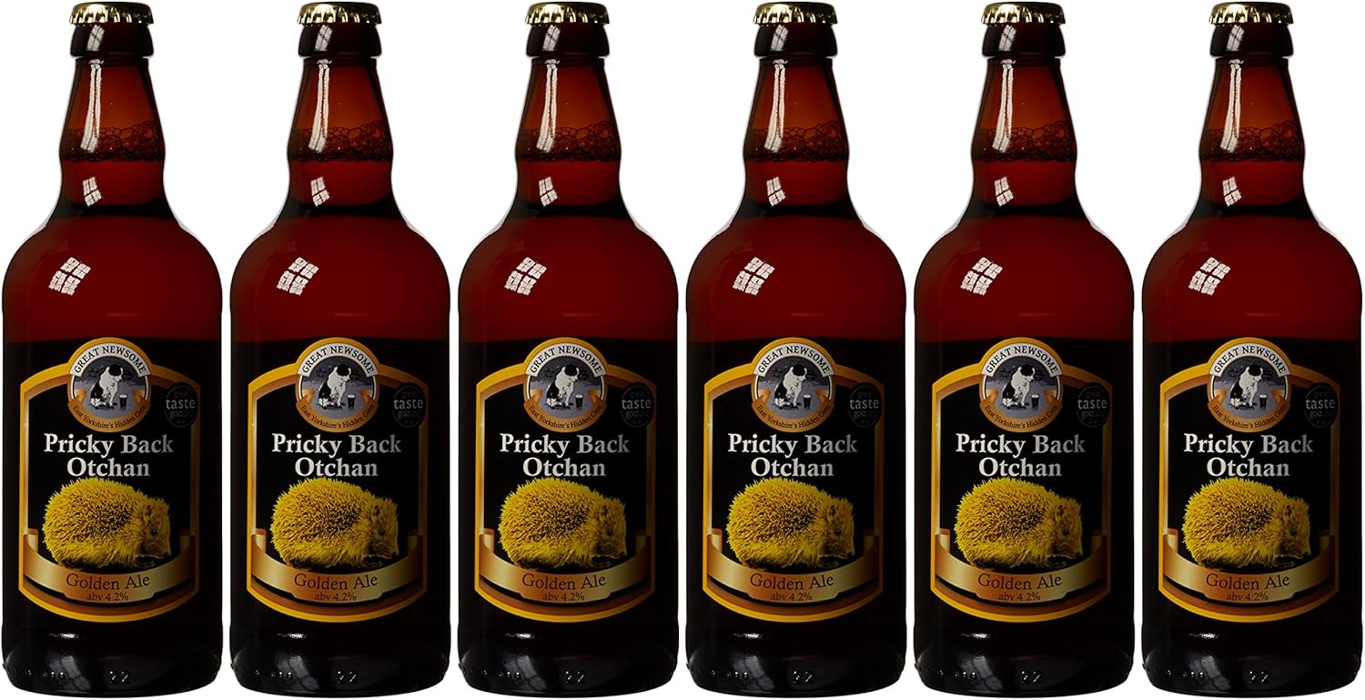 Wye Valley Butty Bach Premium Ale Beer, 50 cl (Case of 12): Amazon.co ...