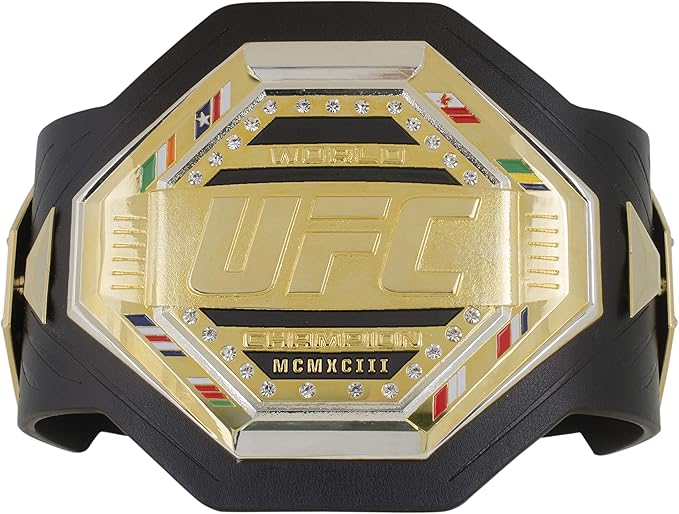 Amazon.com : UFC Mens Legacy Belt Desktop Plaque, Black/Gold/Silver ...