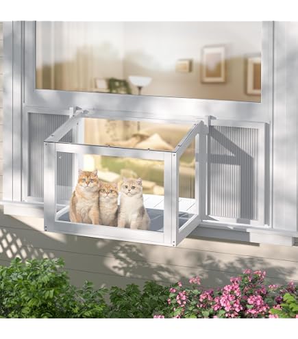 Cat Perch Window Window Cat Perch Catio. Cat Window Box. Wood Window ...