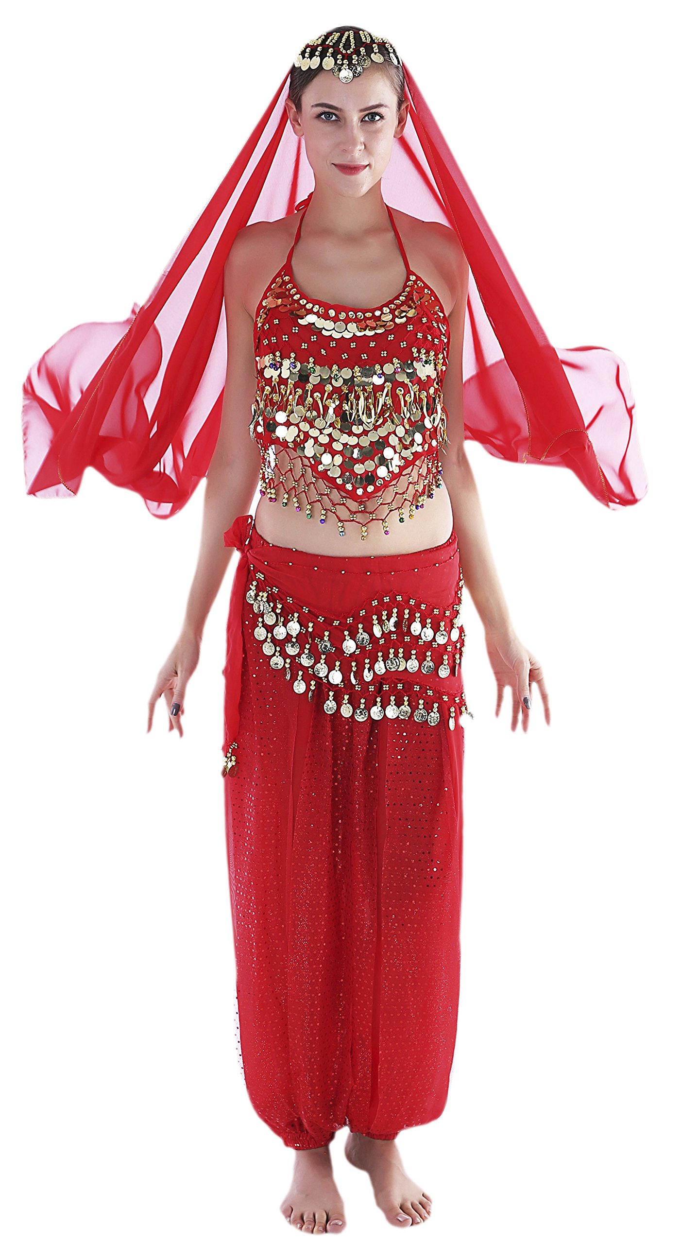 Belly Dancer Costumes for Women Dancing Outfit Arabian Nights Costumes ...