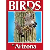 Birds of Arizona Field Guide (Bird Identification Guides): Tekiela ...