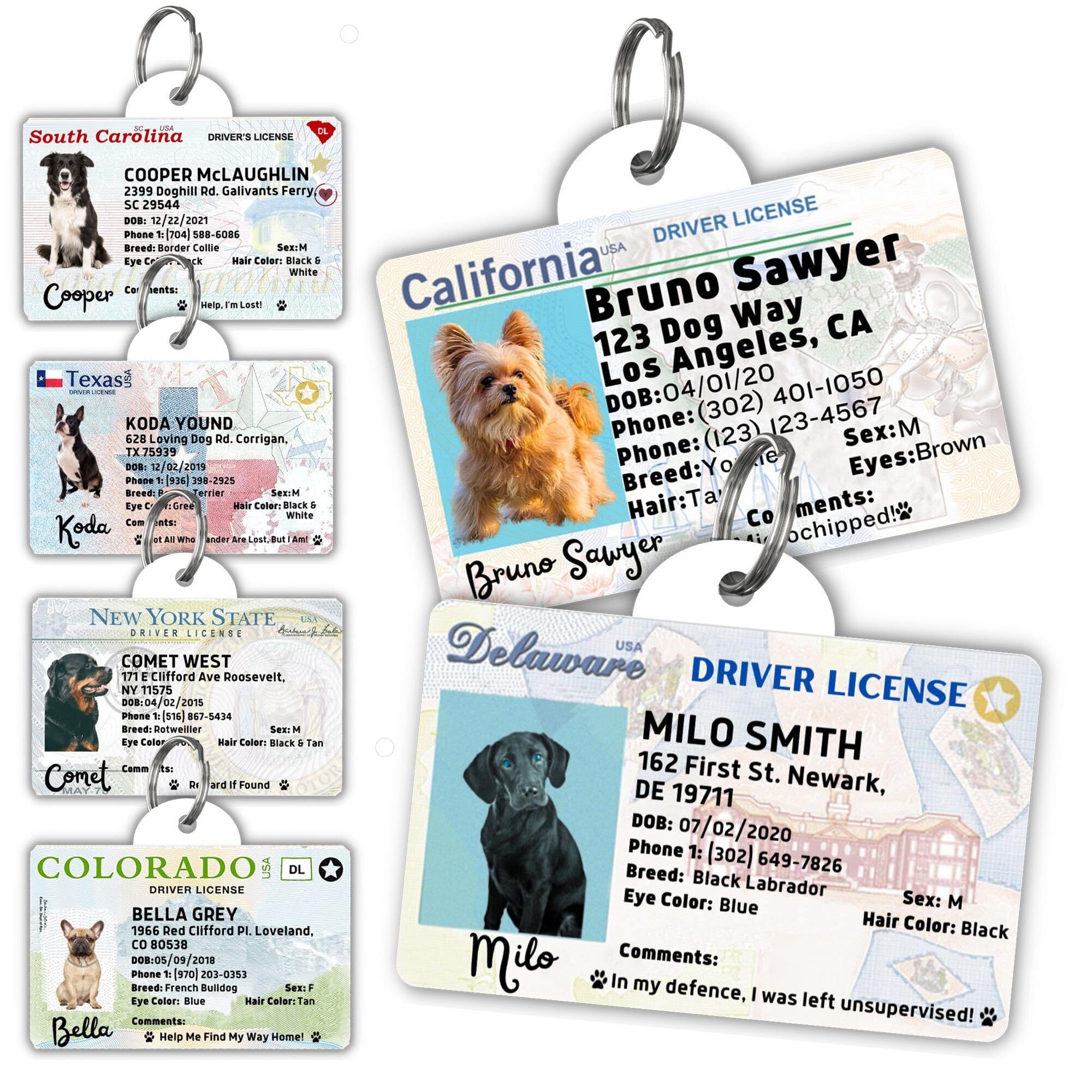 Mua PawFurEver Dog License Tag for Large Breeds - Personalized Pet ...