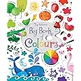 Big Book Of Colours: Brooks, Felicity: 9781409582472: Amazon.com: Books