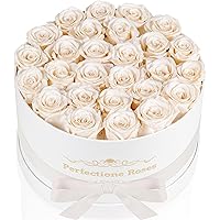 Amazon.com: Perfectione Roses Forever Real Roses in a Box, Preserved ...