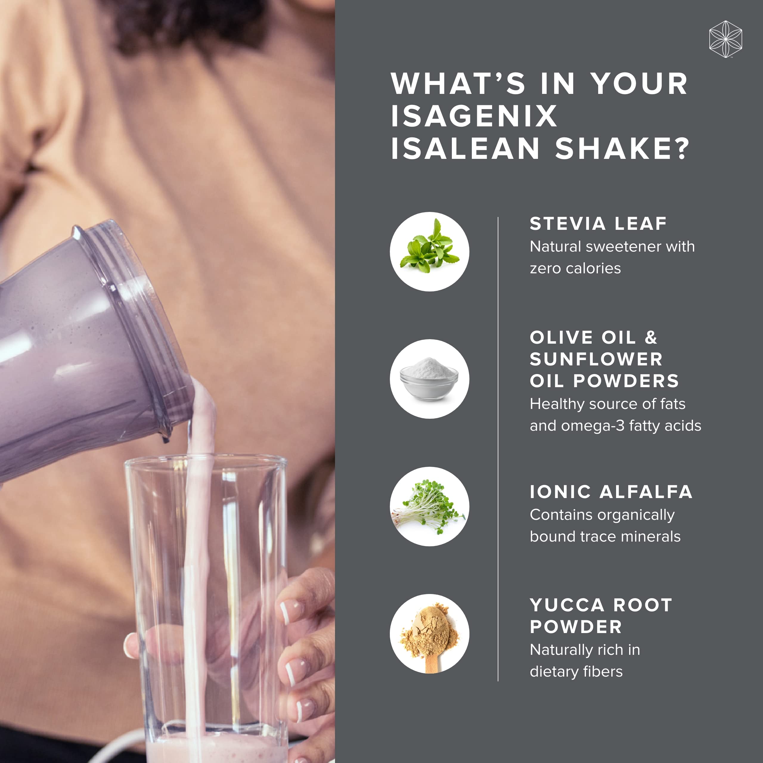Mua Isagenix IsaLean Shake - Meal Replacement Protein Shake Supports ...