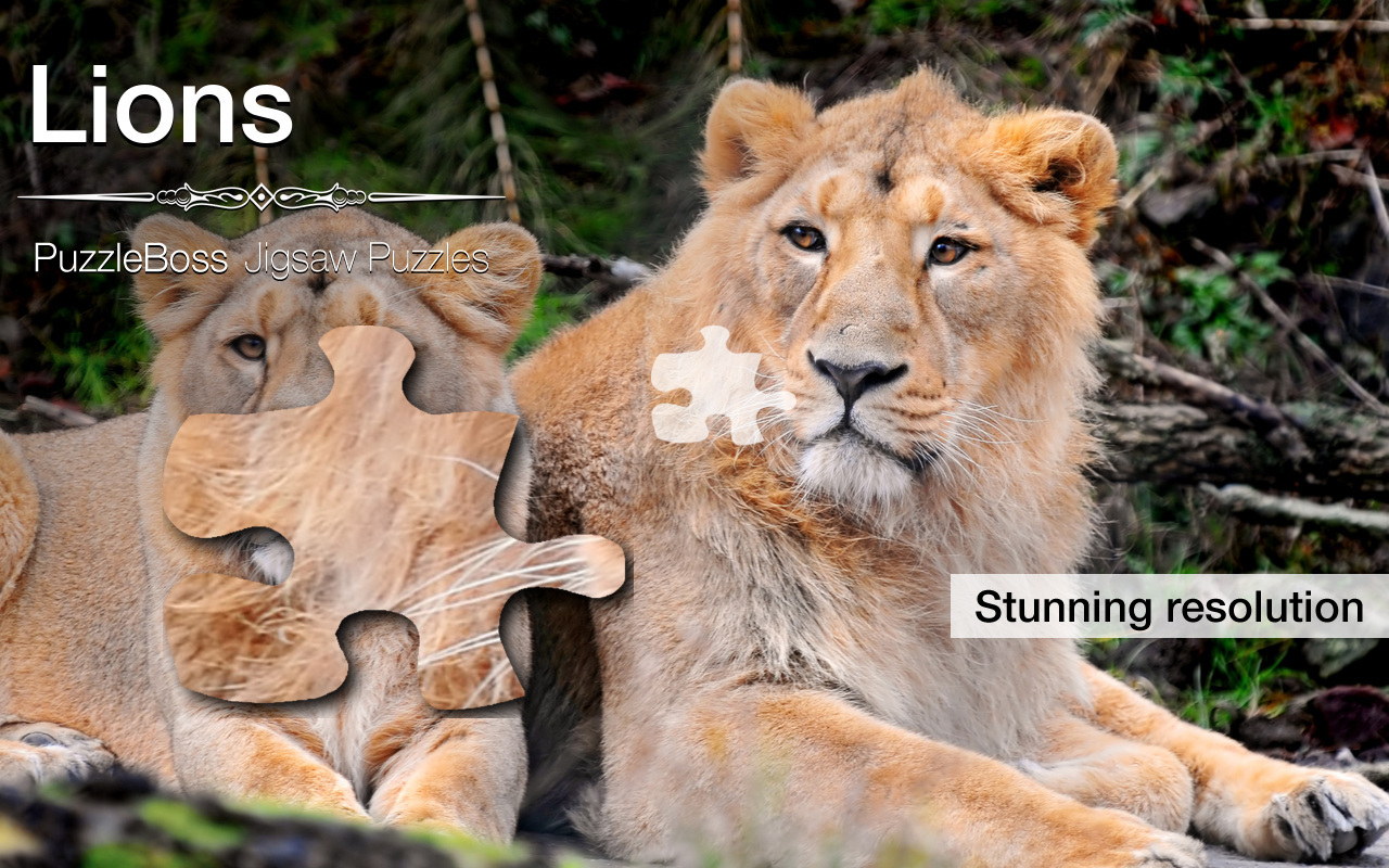 Amazon.com: Lion Jigsaw Puzzles: Appstore for Android
