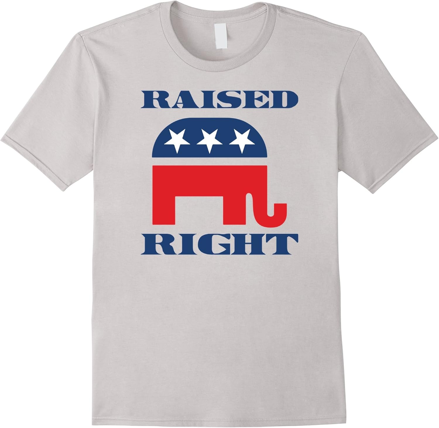 Amazon.com: Raised Right Republican Shirt: Clothing