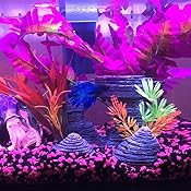 Amazon.com : Python Pro-Clean Aquarium Gravel Washer and Siphon Kit ...