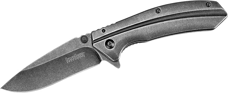 Amazon.com : Kershaw 1306BWX Filter Knife in Clam Packaging : Sports ...