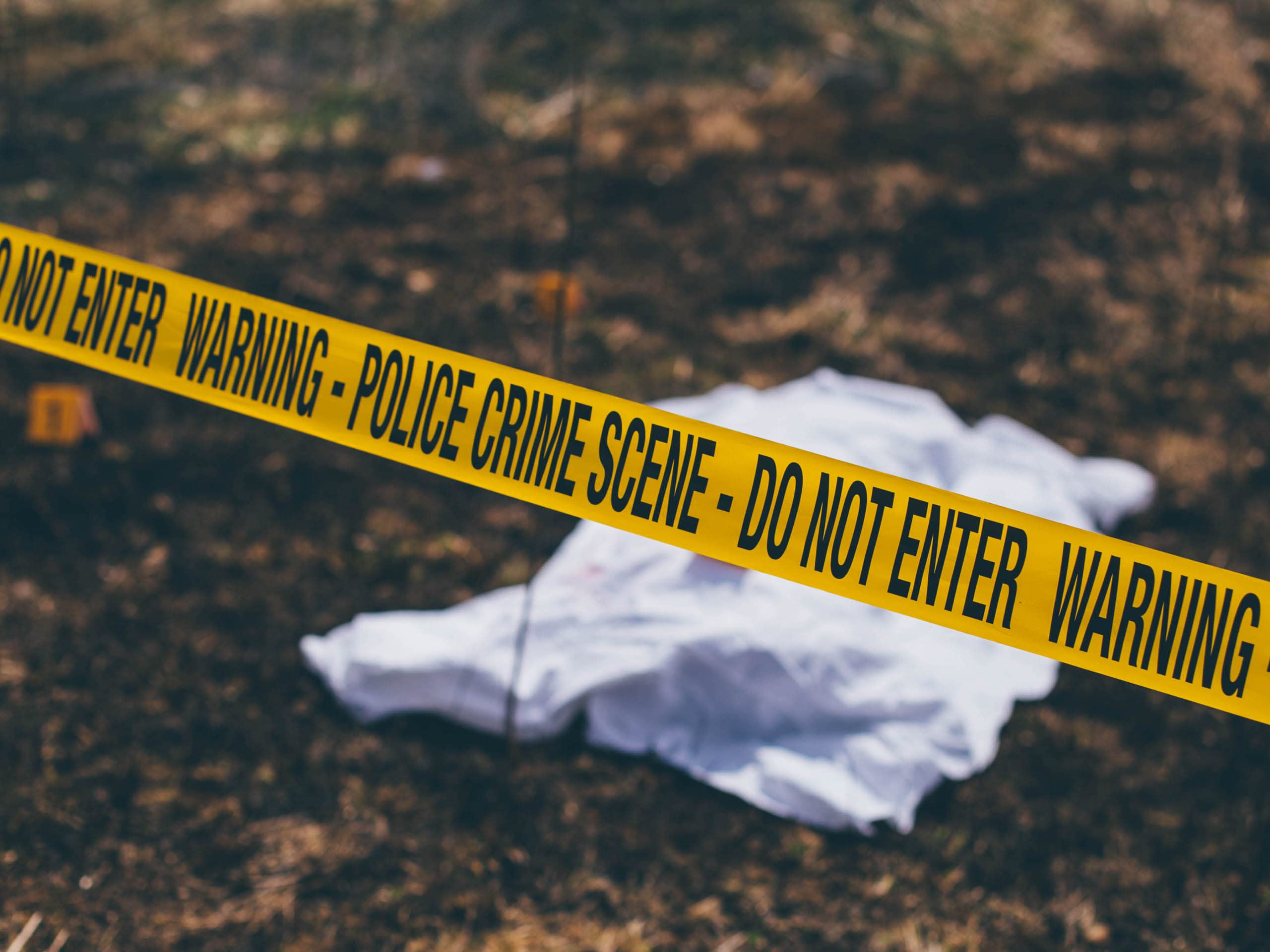 Watch Bloodline Detectives - Season 2 | Prime Video