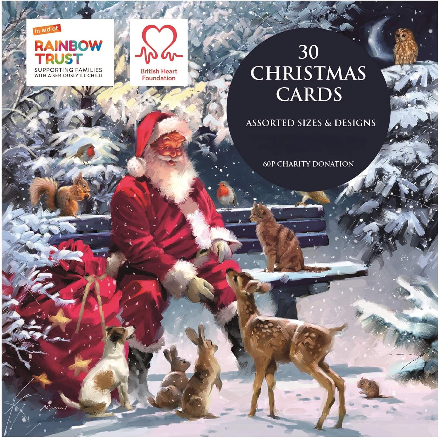 Mixed Charity Christmas Cards Santa And Deer Box 30 Amazon co uk
