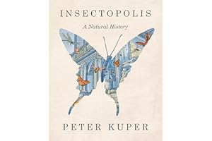 Amazon.com New Releases: The best-selling new & future releases in ...