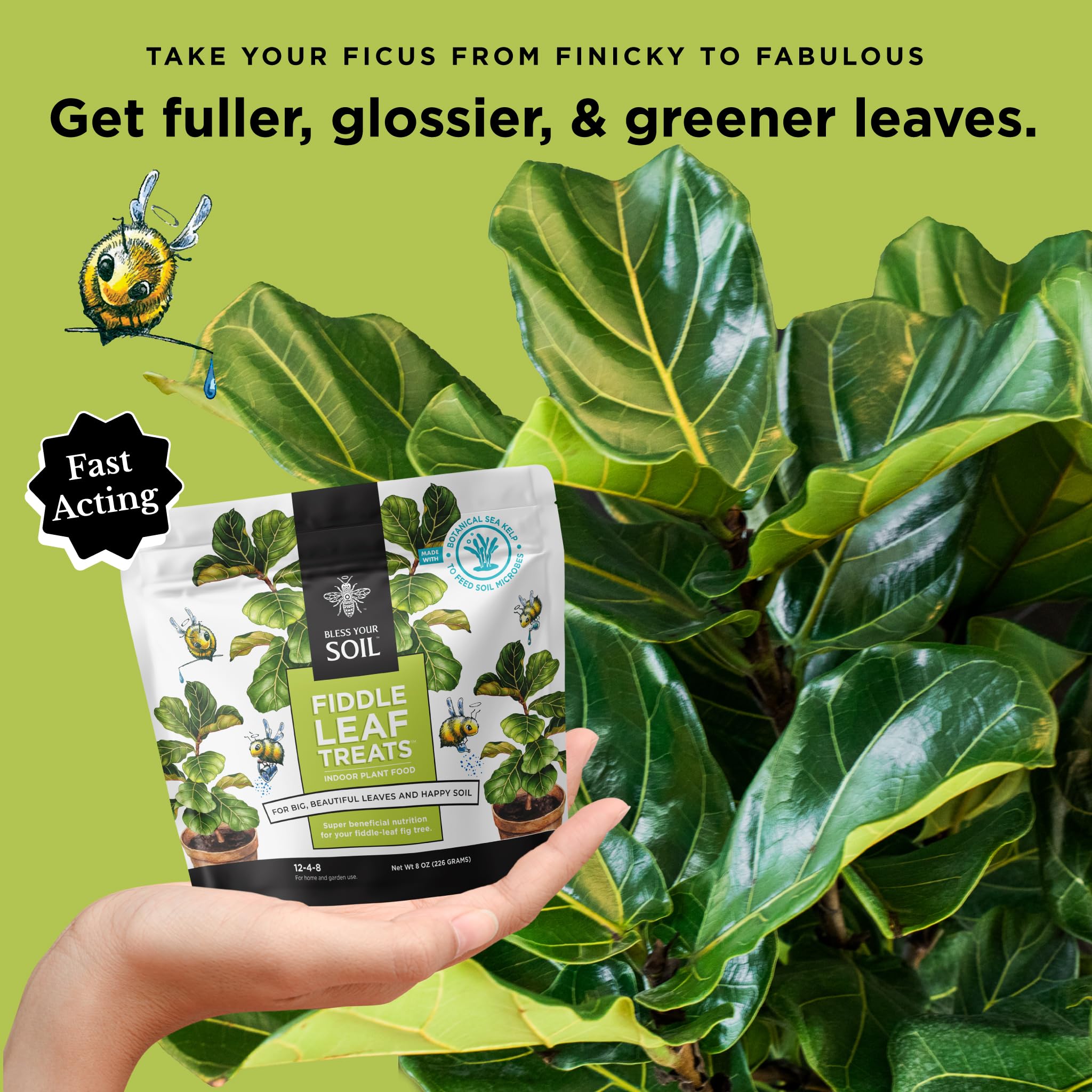 Mua Fiddle Leaf Fig Plant Food : Ficus Fertilizer : 3-1-2 NPK + Organic ...