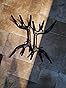 Illusion Systems Black Rack - Rattling Deer Antlers with Instructional ...