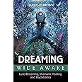 Dreaming Wide Awake: Lucid Dreaming, Shamanic Healing, and Psychedelics ...