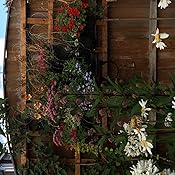 Wonderwall Self Watering Vertical 3 Pocket Garden Wall Planter Outdoor ...