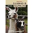 Llamas and Alpacas: Keeping a Small-Scale Camelid Herd: Weaver, Sue ...