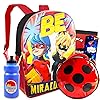 Miraculous Ladybug Backpack and Lunch Box School Set - Bundle with 16 ...