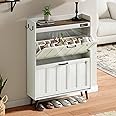 Amazon.com: ChooChoo Shoe Storage Cabinet with 2 Flip Drawers ...