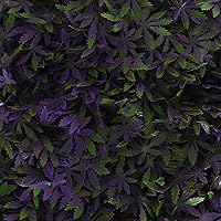 Amazon.com: Artificial Marijuana Pot Leaf Hedge - Fake Weed Plant ...