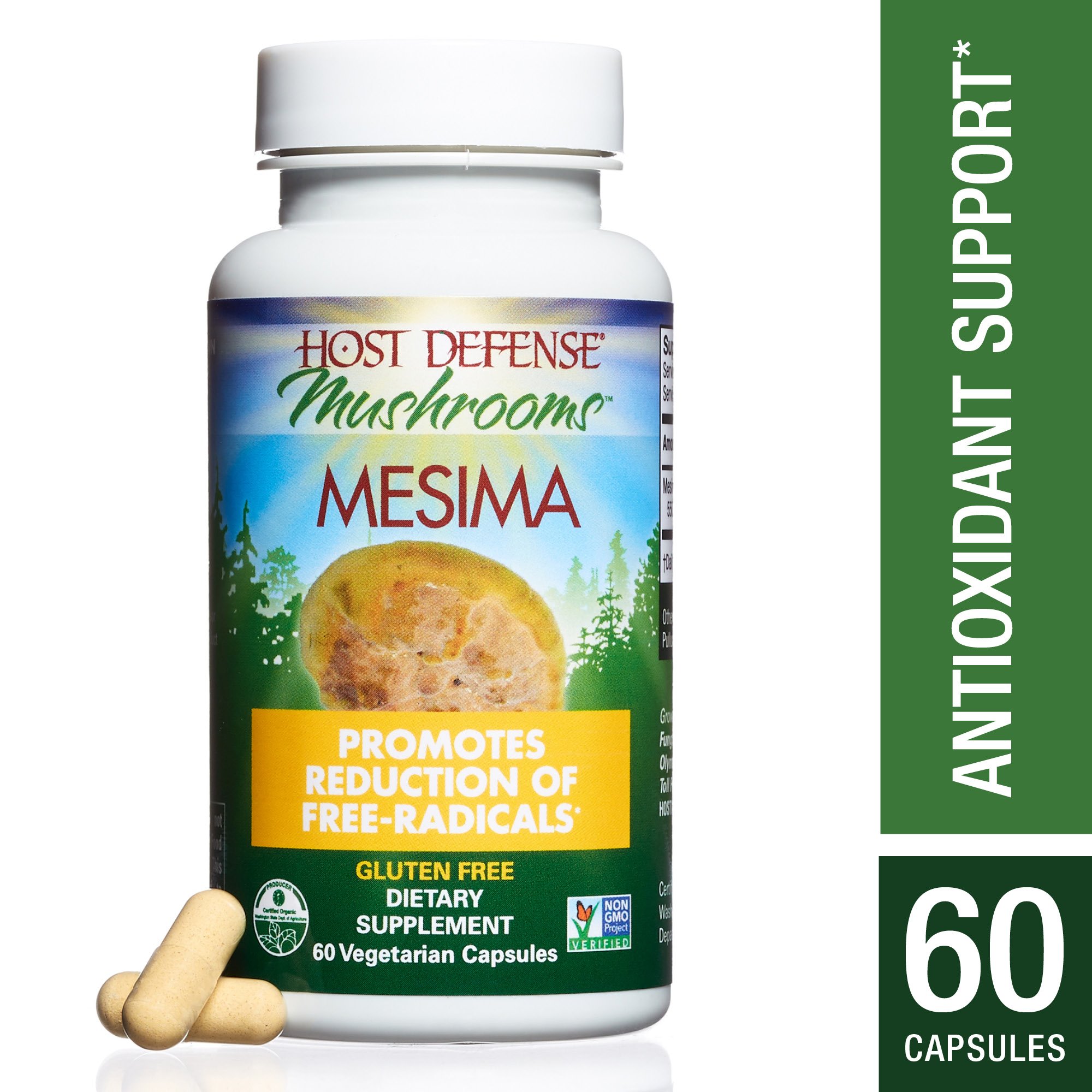 Amazon.com: Myriad Mycology Mesima Mushroom Powder 5.2oz or 150g, Made ...