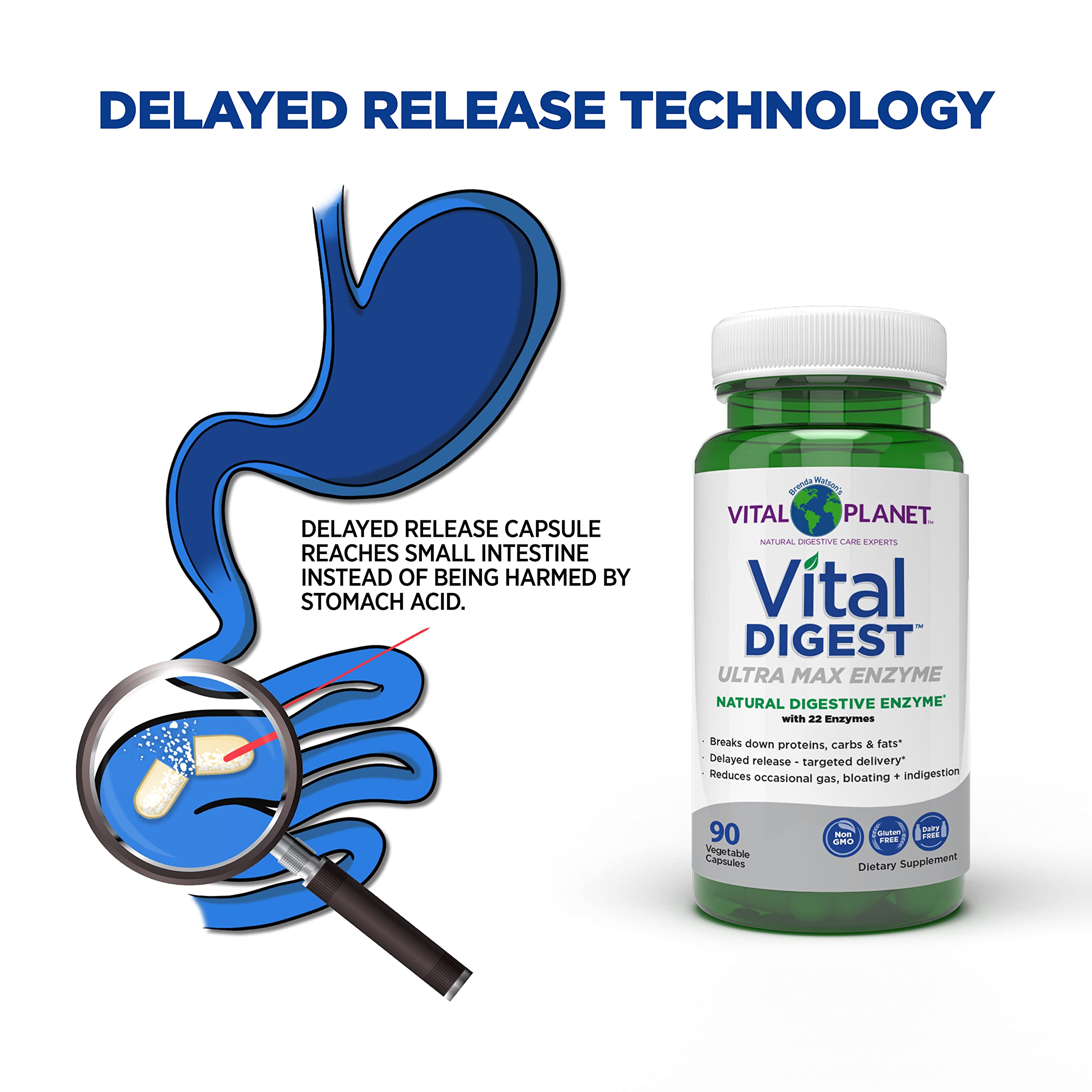 Mua Vital Planet – Vital Digest Natural Digestive Enzyme Supports The ...