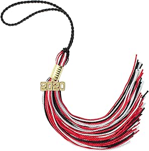 Amazon.com: 2020 Black/RED/Gray Graduation Tassel - Every School Color ...