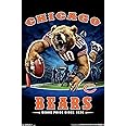 Amazon.com: Trends International NFL Chicago Bears - End Zone 17 Wall ...