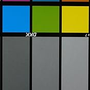 Amazon.com : DGK Color Tools DKK 5" x 7" Set of 2 White Balance and ...