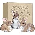Amazon.com: 3 Pcs Bunny Decor Figurines Garden Decorations, Cute Bunny ...