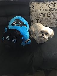 Amazon.com : NFL Pillow Pet : Sports & Outdoors