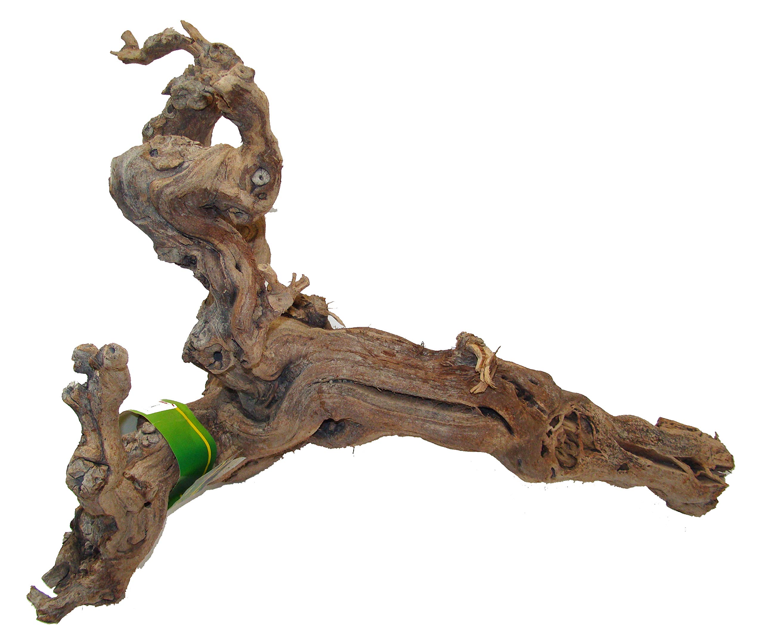 Lucky Reptile Premium Grapevine | Blue Lizard Reptiles