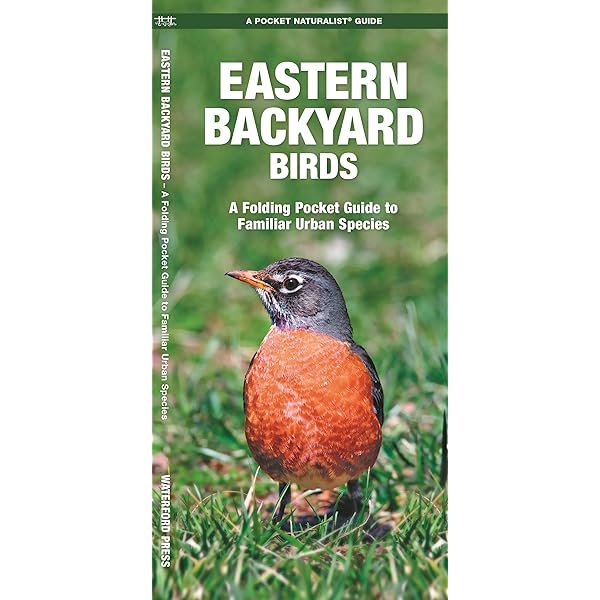 Common Types Of Backyard Birds In The Northeast Owlcation 21