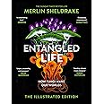 Entangled Life How Fungi Make Our Worlds The Illustrated Edition ...