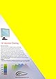 19 inch coloured monitor overlay screen tint dyslexia Yellow: Amazon.co ...