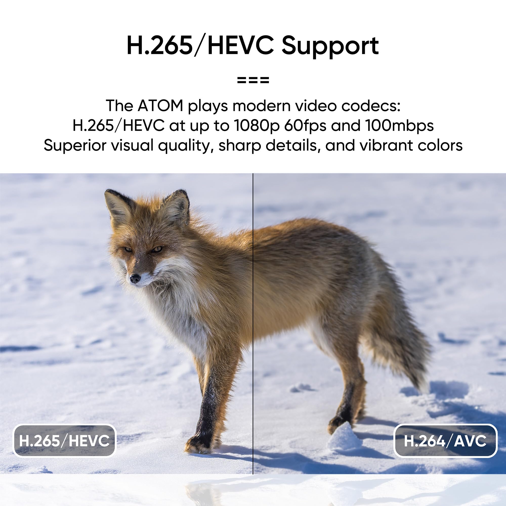 Mua NEUMI Atom 1080P Full-HD Digital Media Player for USB Drives and SD ...